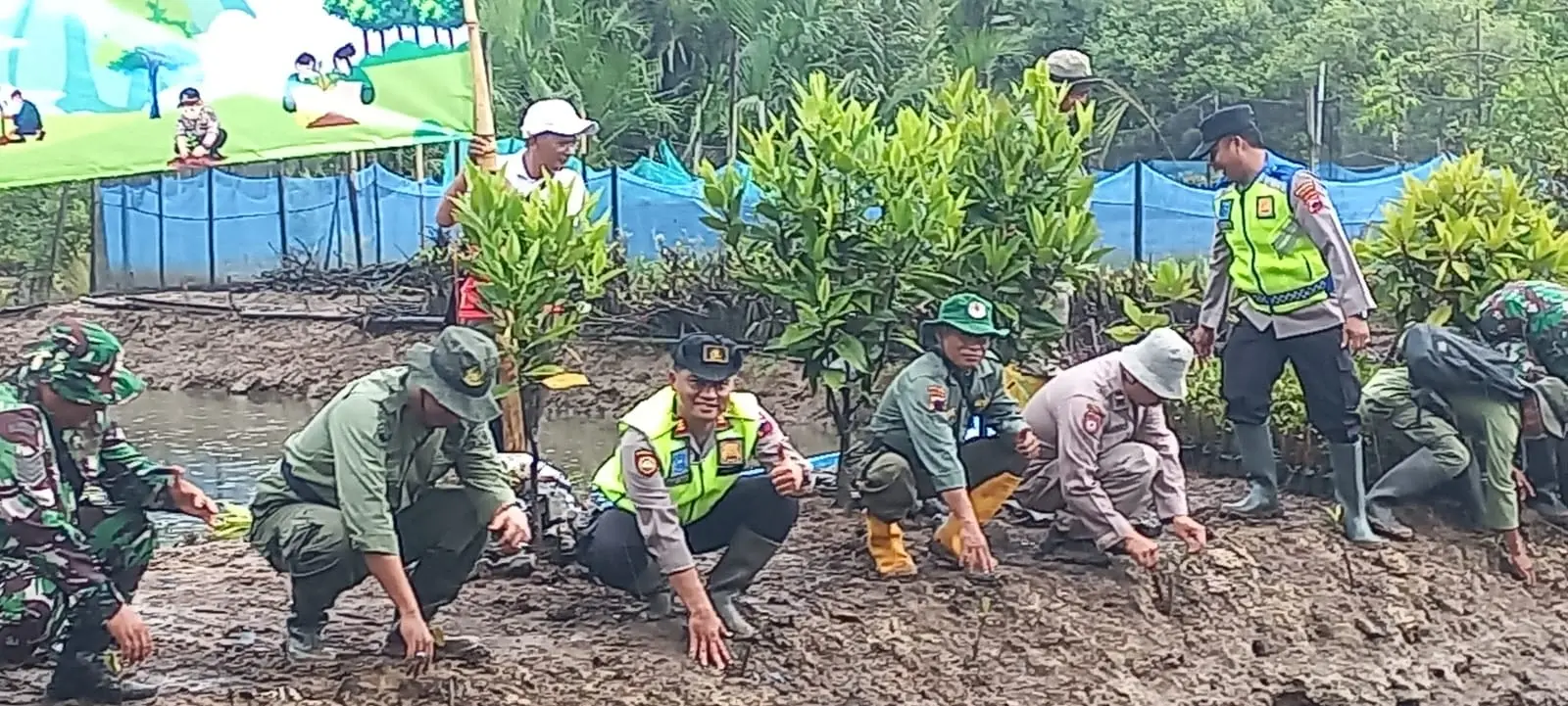 Cegah Abrasi! Polisi Tanam 300 Mangrove di Bantaran Bengawan Donan Cilacap